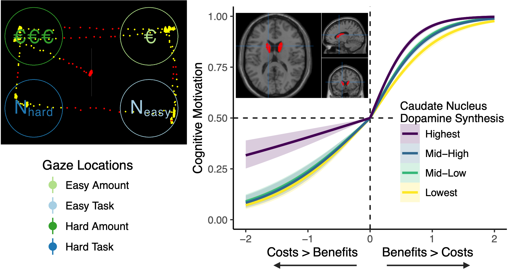 Research – Brain Modulation & Control Lab